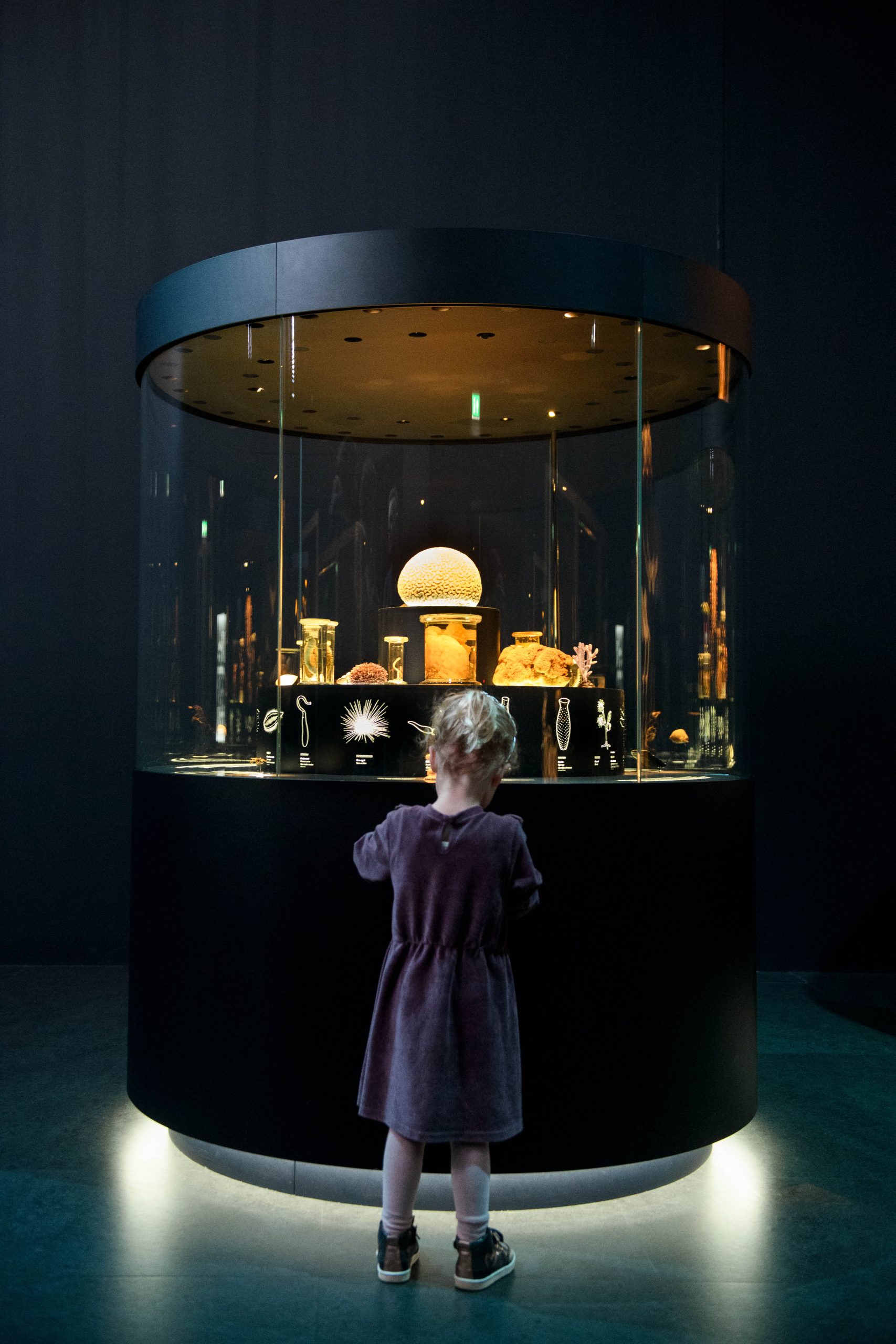 Evolution - kloosterboer